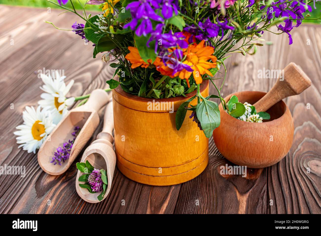 Purple Consolida regalis and orange Calendula officinalis medicinal ...