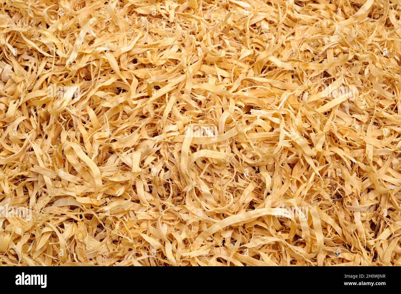 Texture of freshly grated wood sawdust, thin, long and flexible of ...