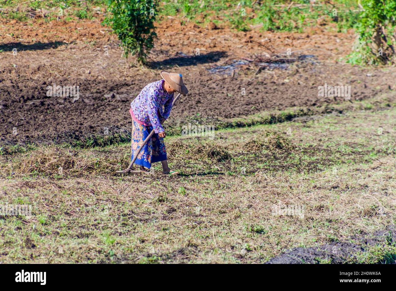 PYIN OO LWIN, MYANMAR - NOVEMBER 30, 2016: Local peasant on a field ...