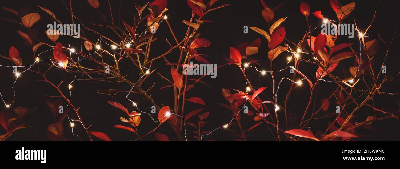 Night fall leaves hi-res stock photography and images - Alamy