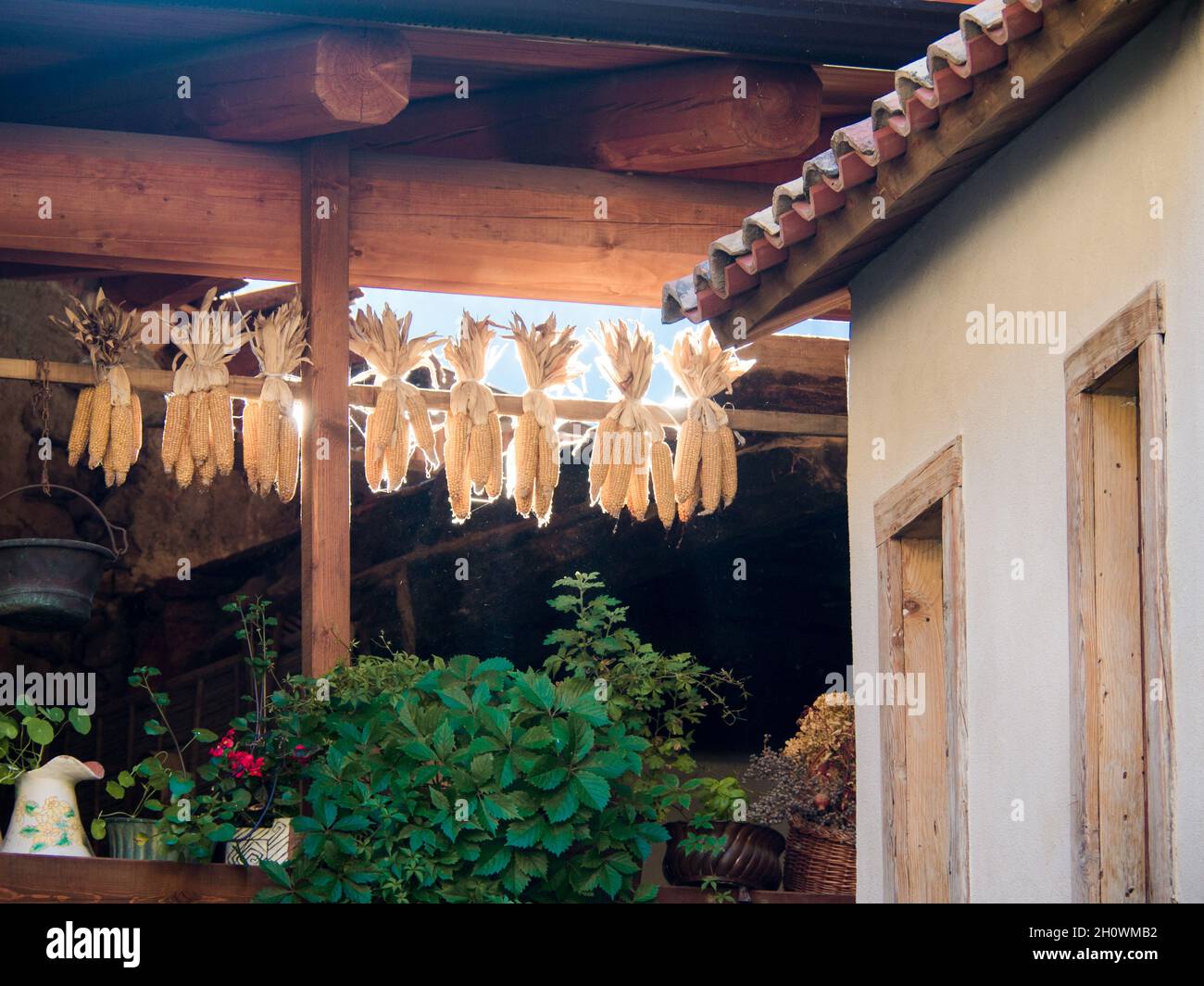Closeup shot of an outdoor kitchen with dried corn hanging from the ...