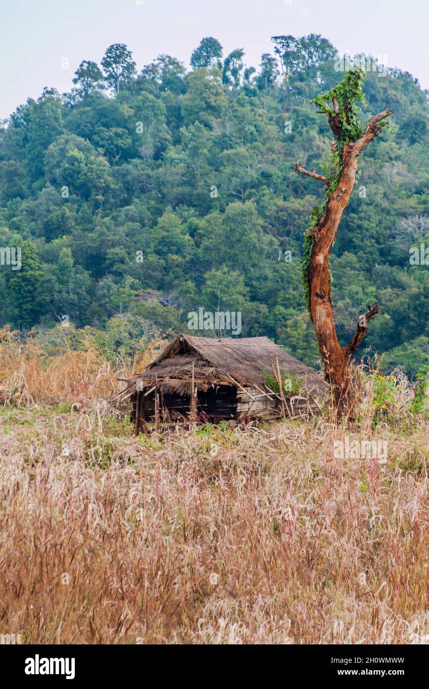 Wooden hut in rice fields hi-res stock photography and images - Alamy