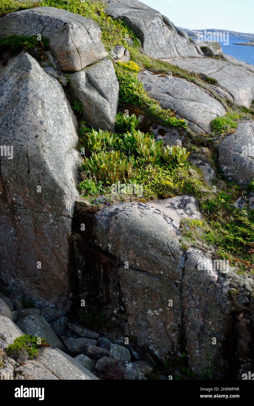 Rock formations on an island in Fjällbacka archipelago on the western coastline on Sweden Stock ...