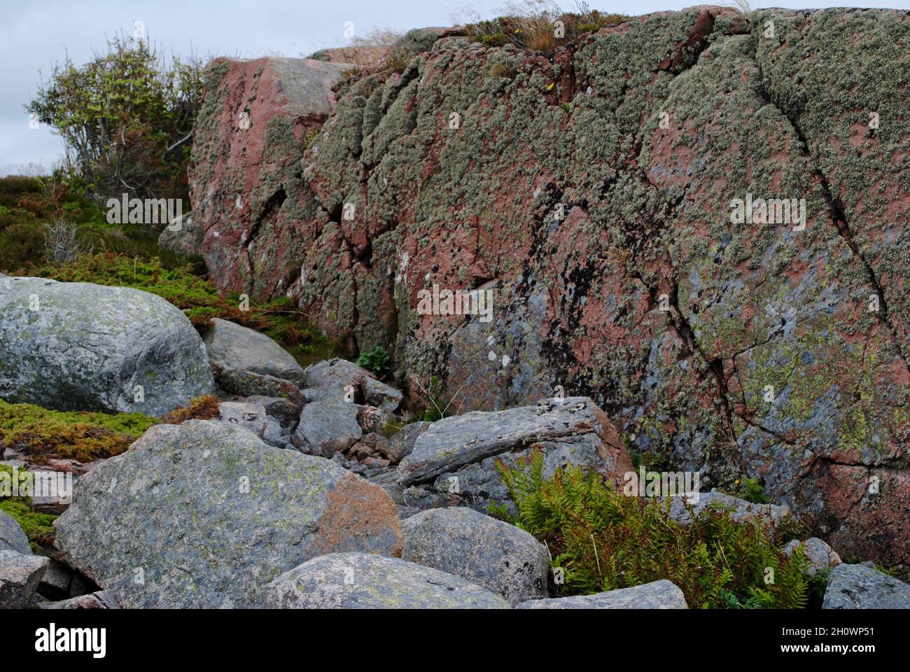 Rock formations on an island in Fjällbacka archipelago on the western coastline on Sweden Stock ...