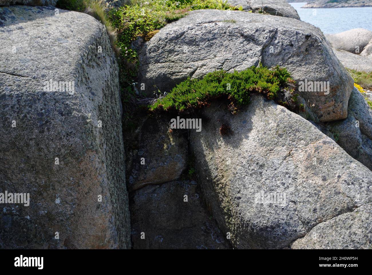 Rock formations on an island in Fjällbacka archipelago on the western coastline on Sweden Stock ...