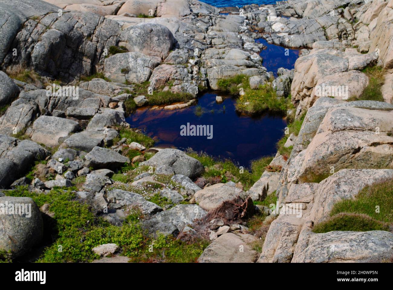 Rock formations on an island in Fjällbacka archipelago on the western coastline on Sweden Stock ...