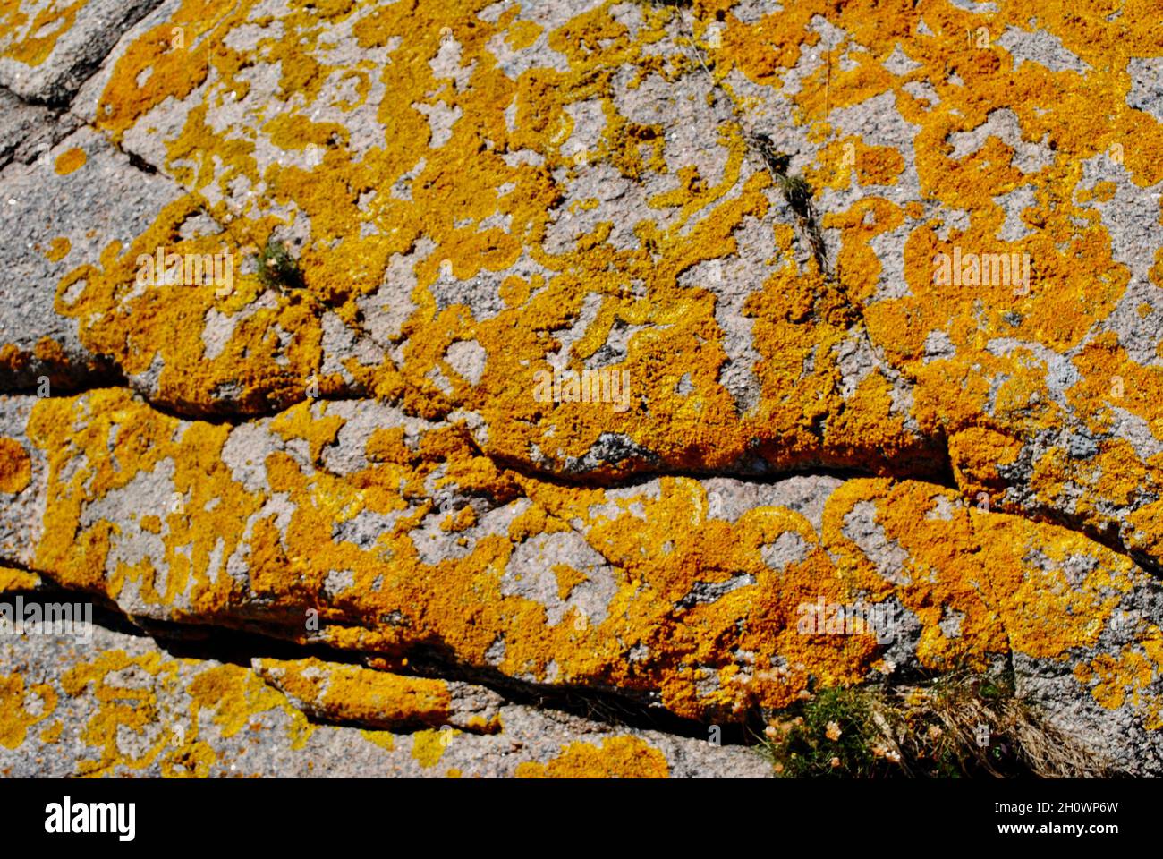 Rock formations on an island in Fjällbacka archipelago on the western coastline on Sweden Stock ...