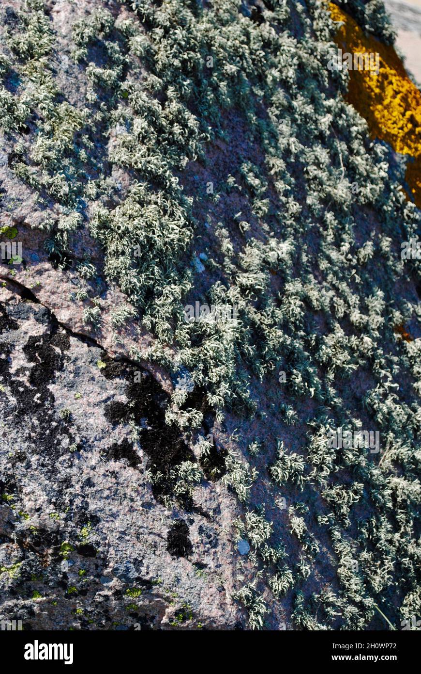 Rock formations on an island in Fjällbacka archipelago on the western ...