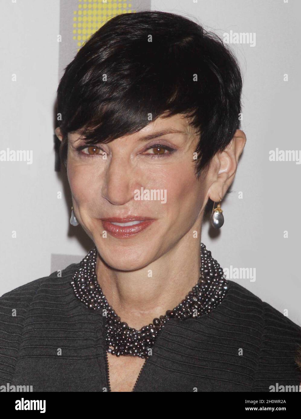 Amy Fine Collins 2009 Photo by John Barrett/PHOTOlink Stock Photo - Alamy