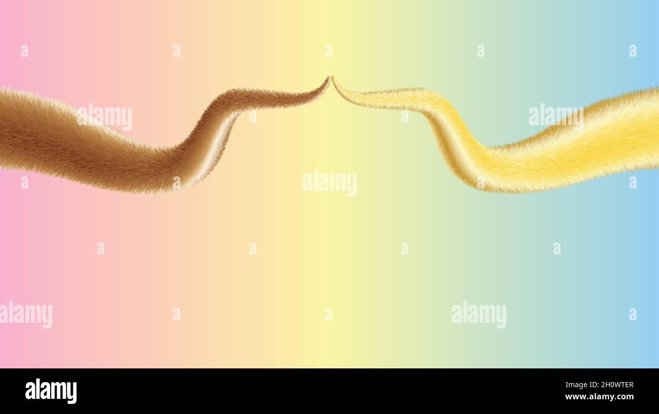 Striped tails Stock Vector Images - Alamy