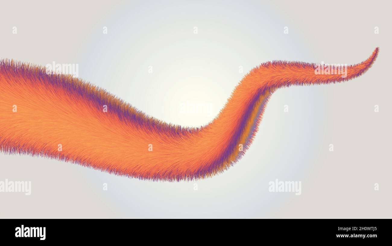 Modern colorful poster. Tail shape on white color background. Art ...