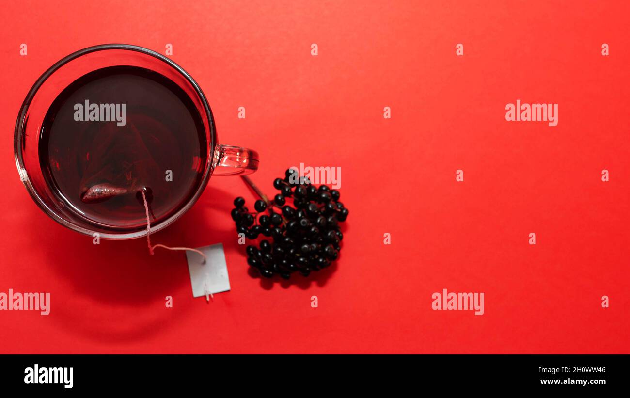 Natural black berry tea close-up, red berry tea, homeopathy Stock Photo ...