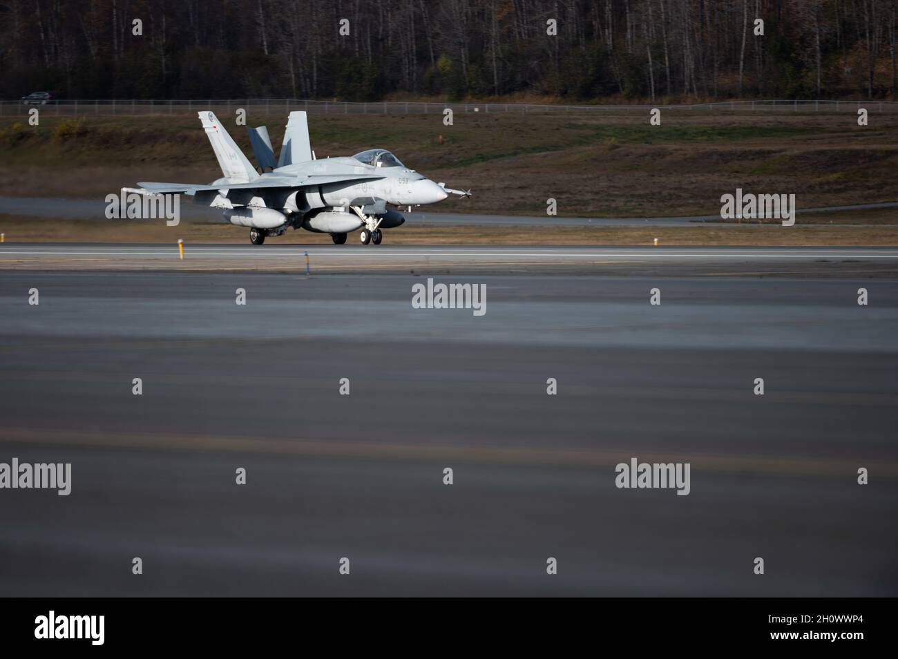 A Royal Canadian Air Force RCAF-188 Hornet lands at Joint Base ...