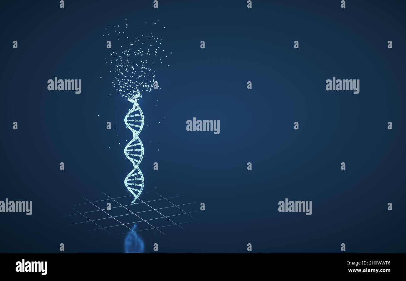 Digital inheritance hi-res stock photography and images - Alamy