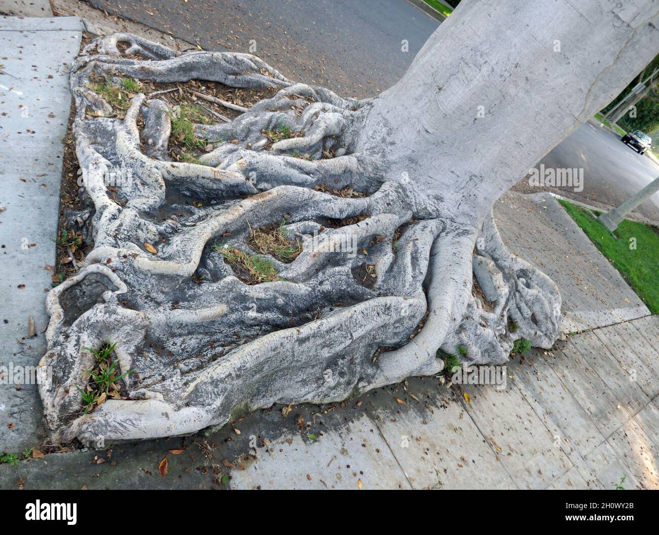 Beverly Hills, California, USA 7th September 2021 A general view of ...
