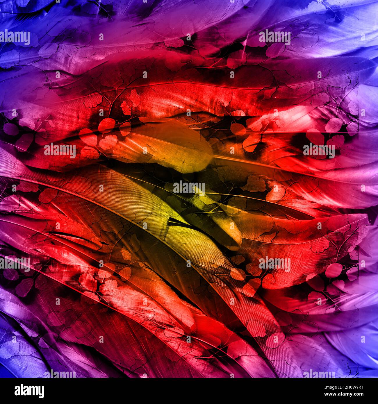 textile fashion prints, modern designs Stock Photo - Alamy