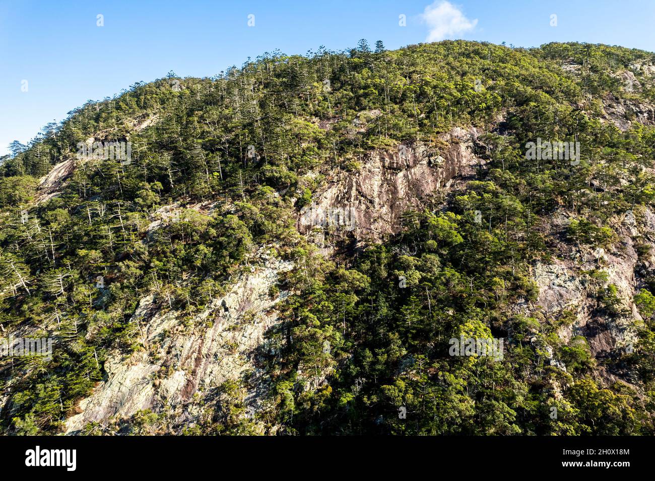 Tree covered volcanic core mountain with rock face visible Stock Photo ...