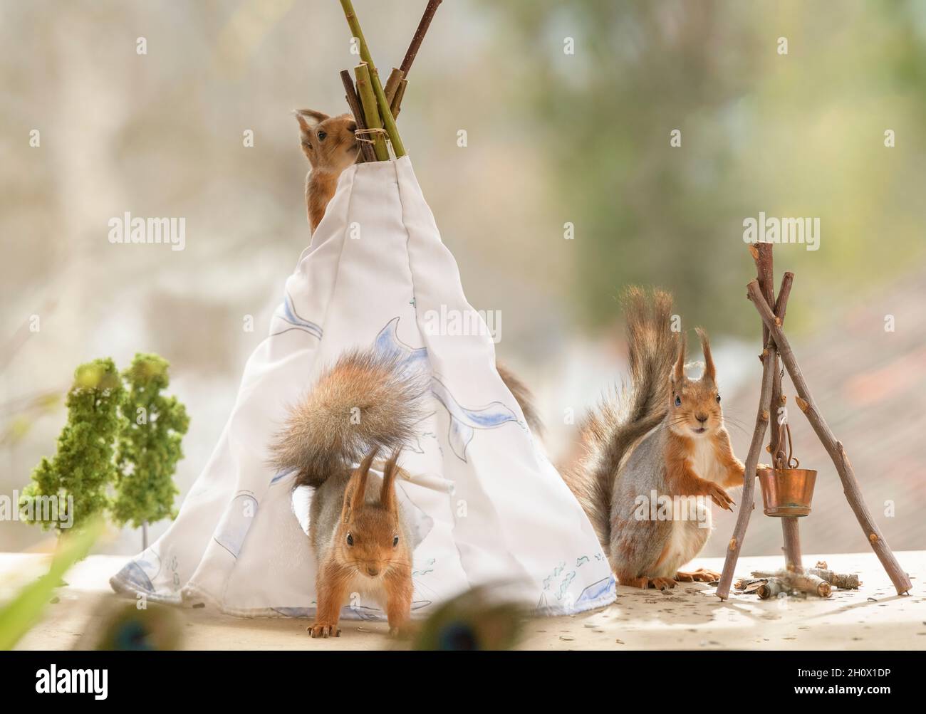 Humour animal tent hi-res stock photography and images - Alamy