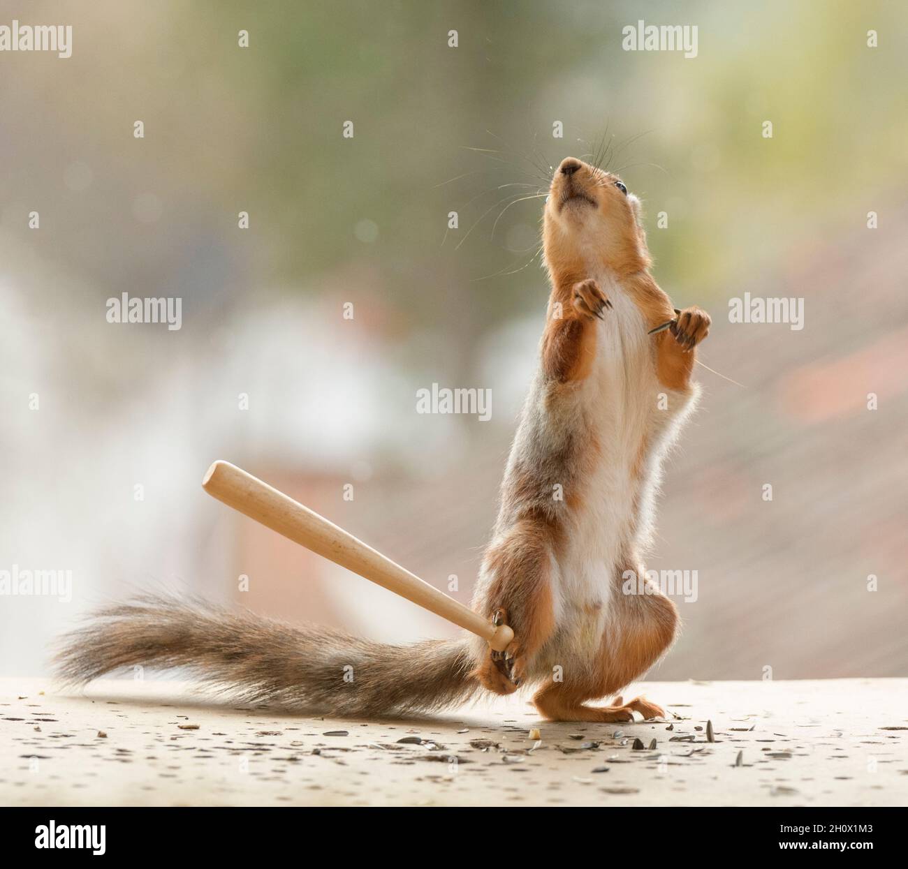 Looiking hi-res stock photography and images - Alamy