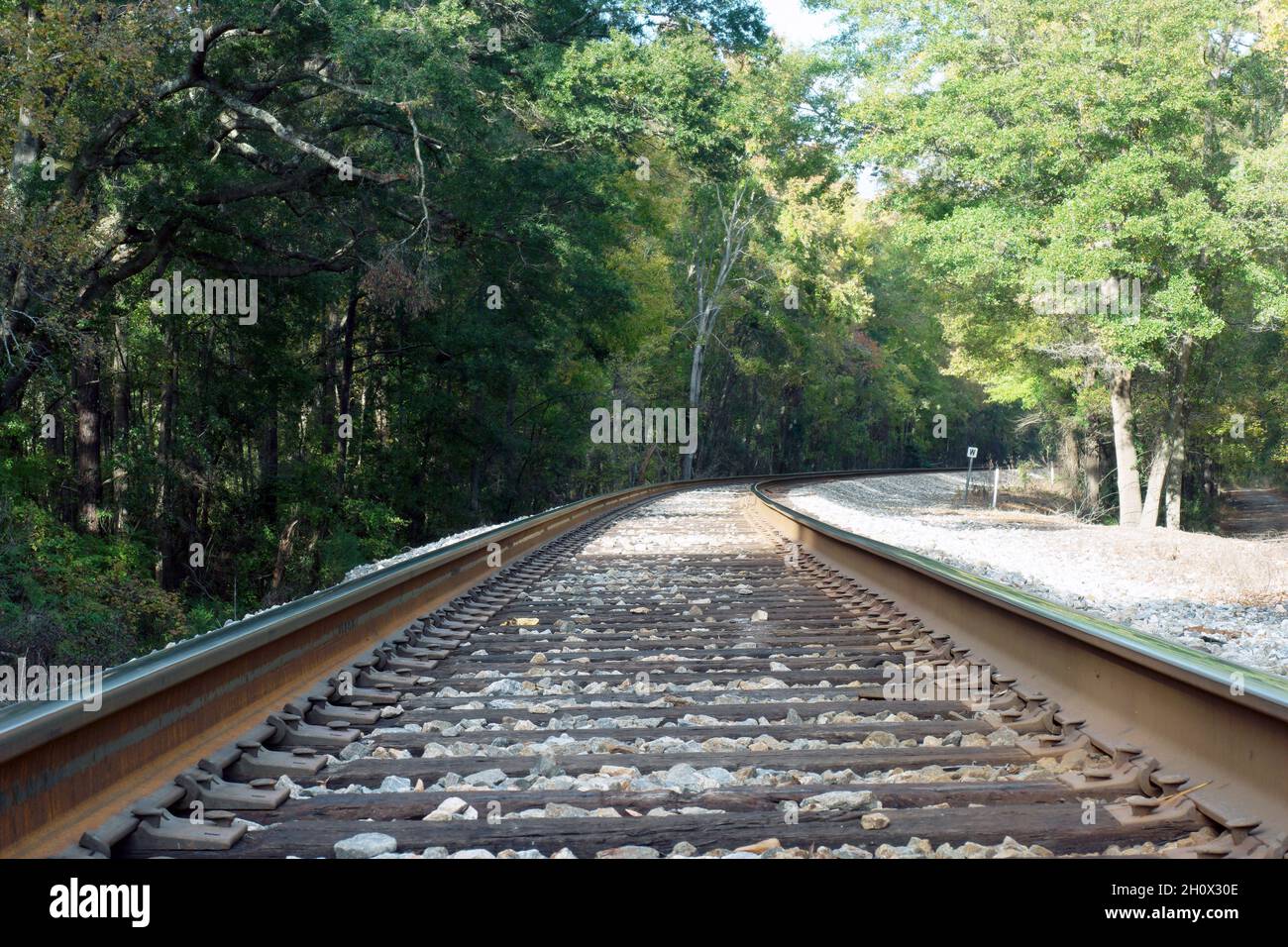 Train rails on sunny day in forest Stock Photo - Alamy