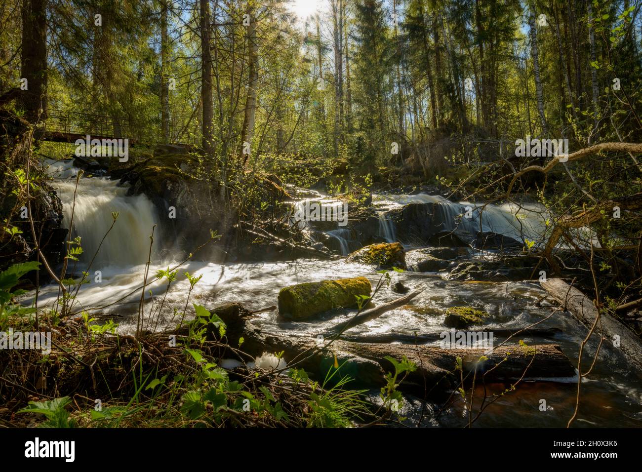 Swedish rock art hi-res stock photography and images - Alamy