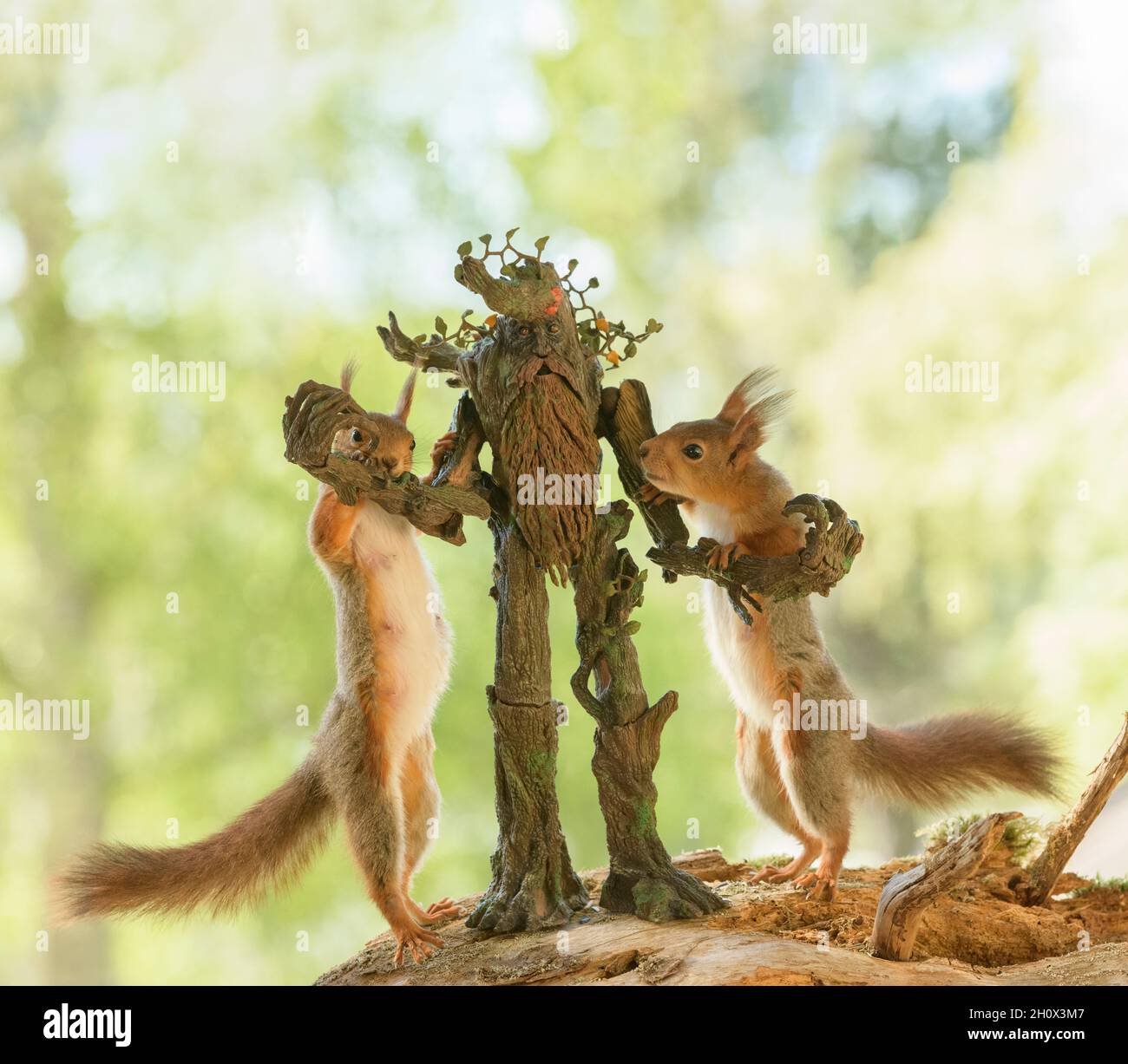 Treebeard High Resolution Stock Photography and Images - Alamy
