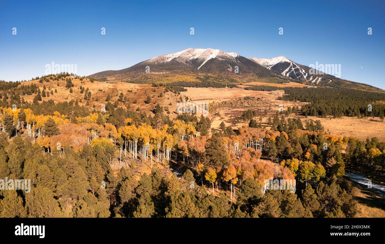 Aerial of snow capped San Francisco Peaks with golden aspens Stock ...