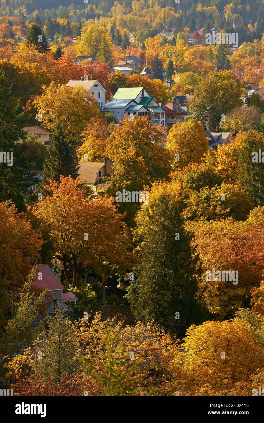 Nelson in fall colours hi-res stock photography and images - Alamy