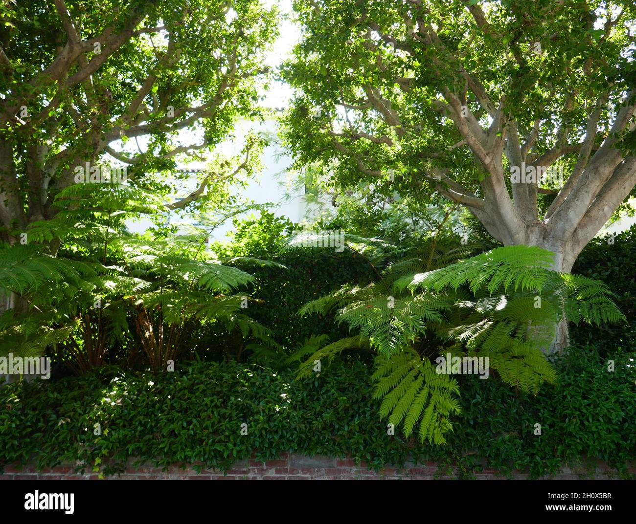 Beverly Hills, California, USA 7th September 2021 A general view of ...