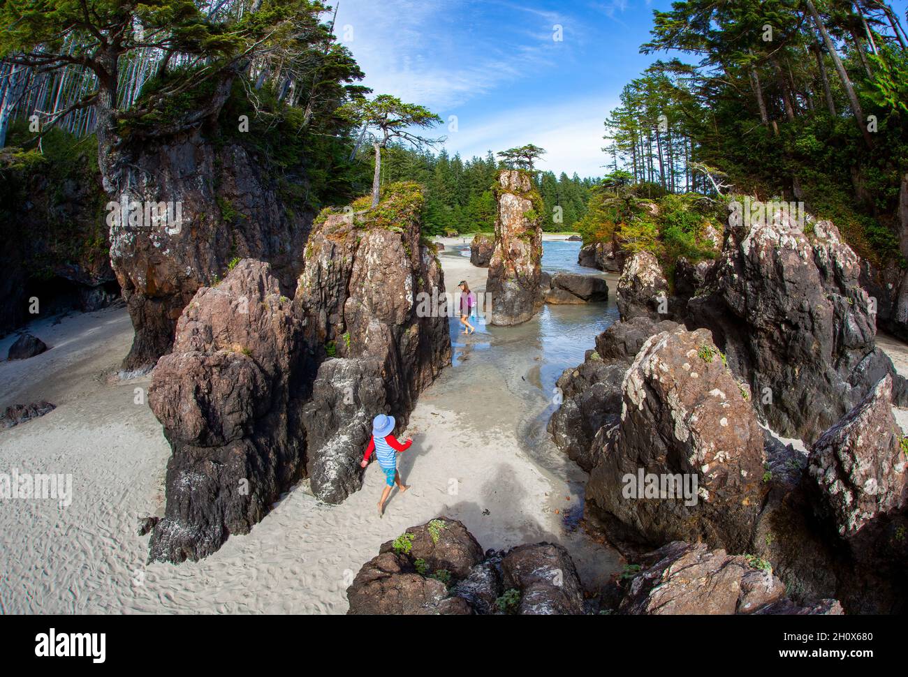 Beach at San Josef Bay, Cape Scott Provincial Park, Vancouver Island ...