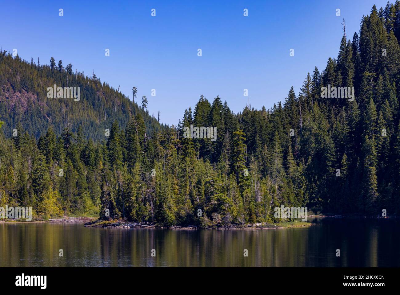Port alice vancouver island hi-res stock photography and images - Alamy