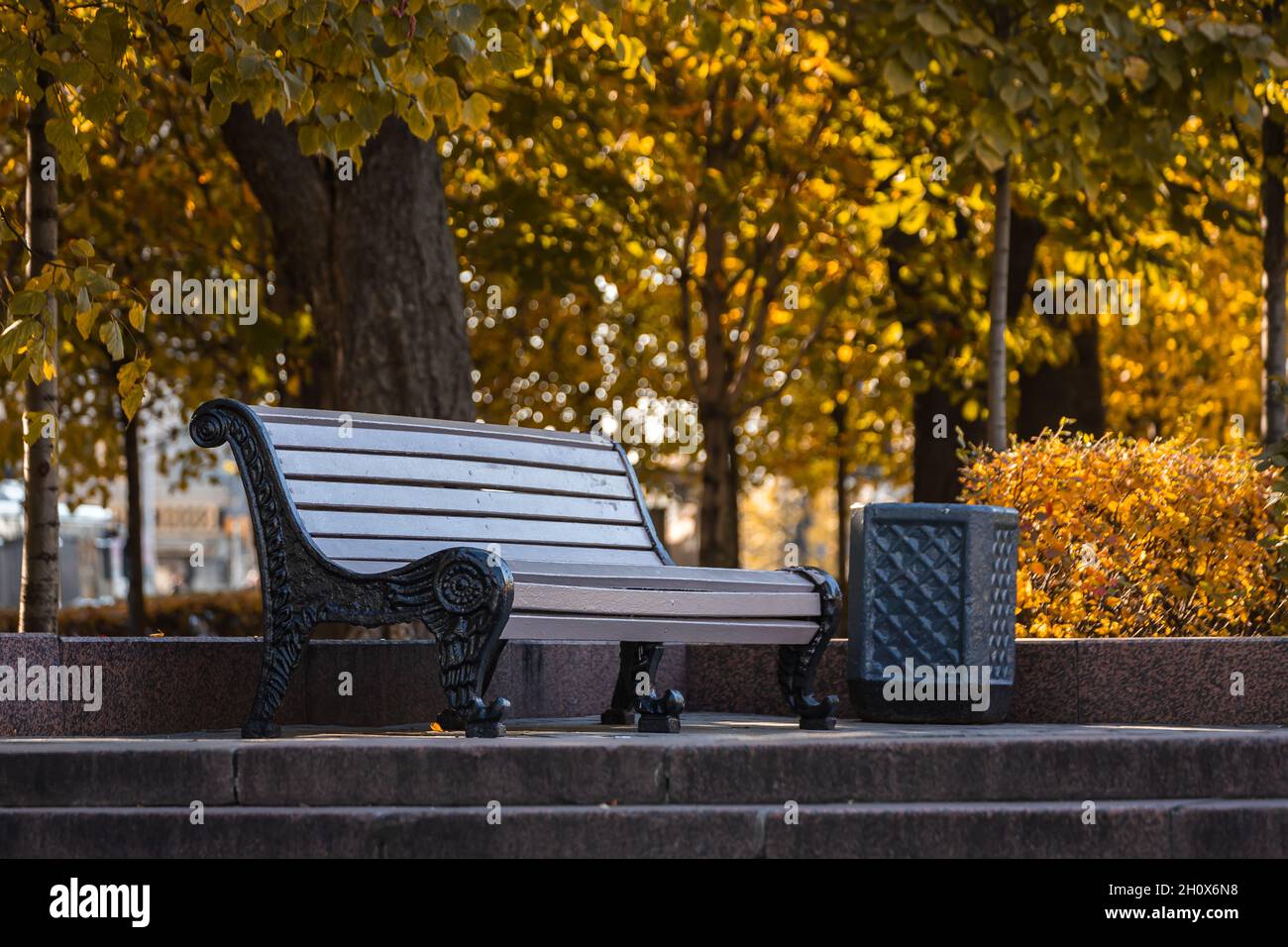 Bench under a tree in the autumn forest. Сalm and peaceful park ...