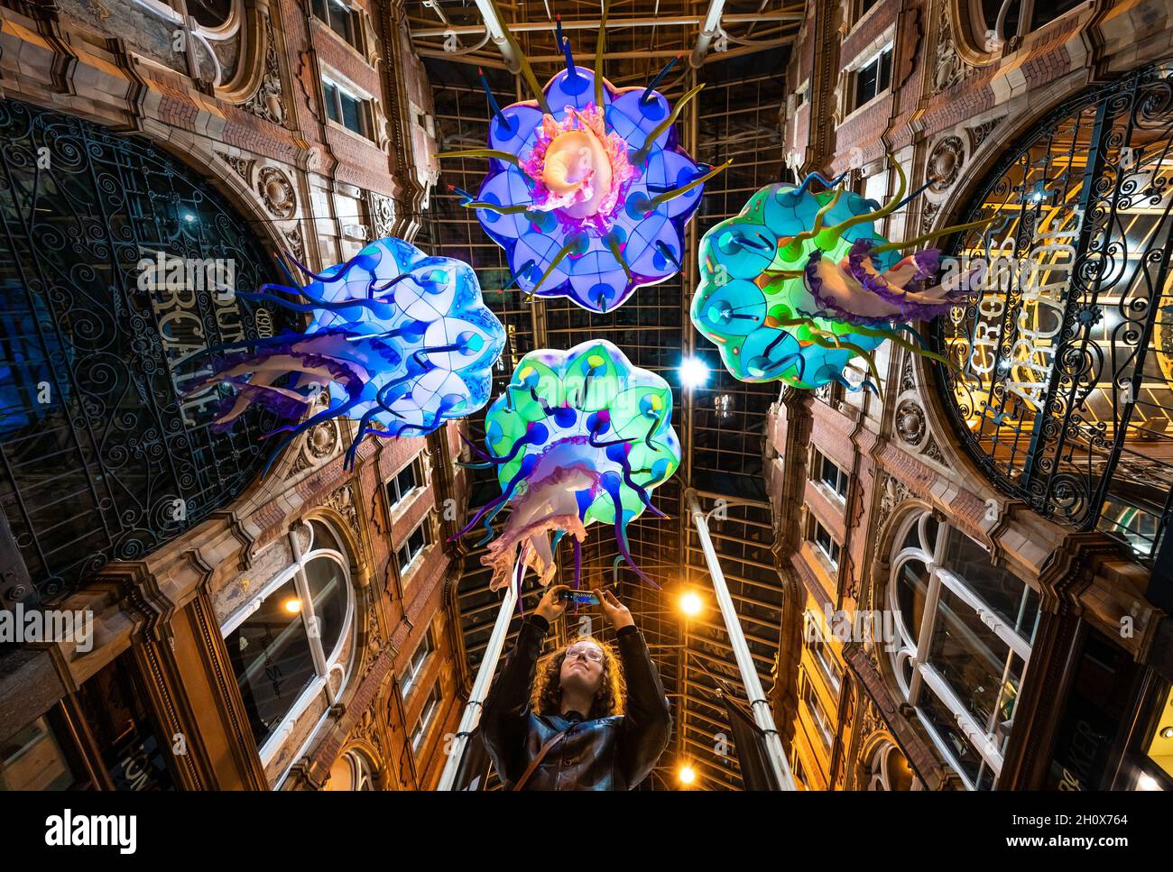 Asher Hollway takes a photograph of art installation Creature Invasion ...