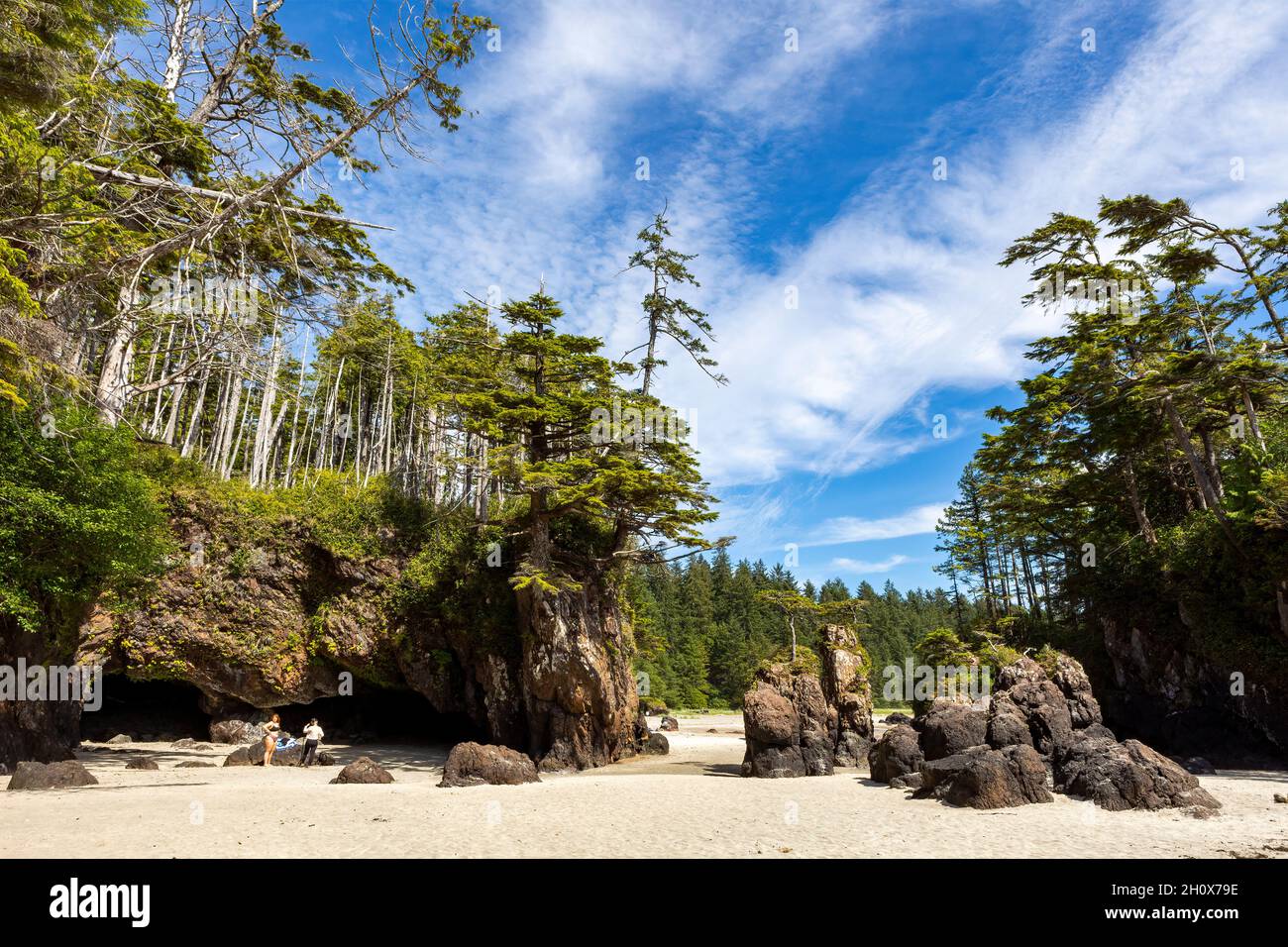 Beach at San Josef Bay, Cape Scott Provincial Park, Vancouver Island ...