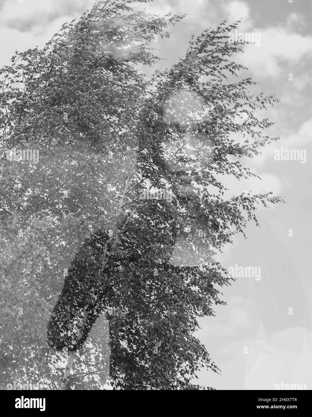 Woman nature double exposure hi-res stock photography and images - Alamy