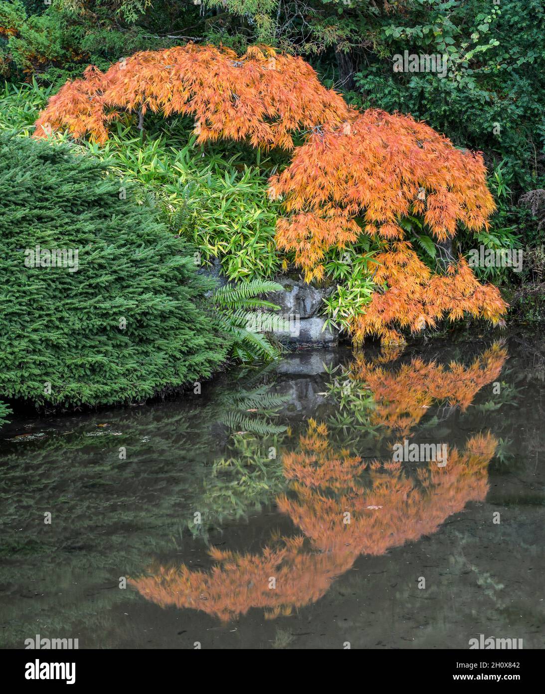 Japanese arc hi-res stock photography and images - Alamy