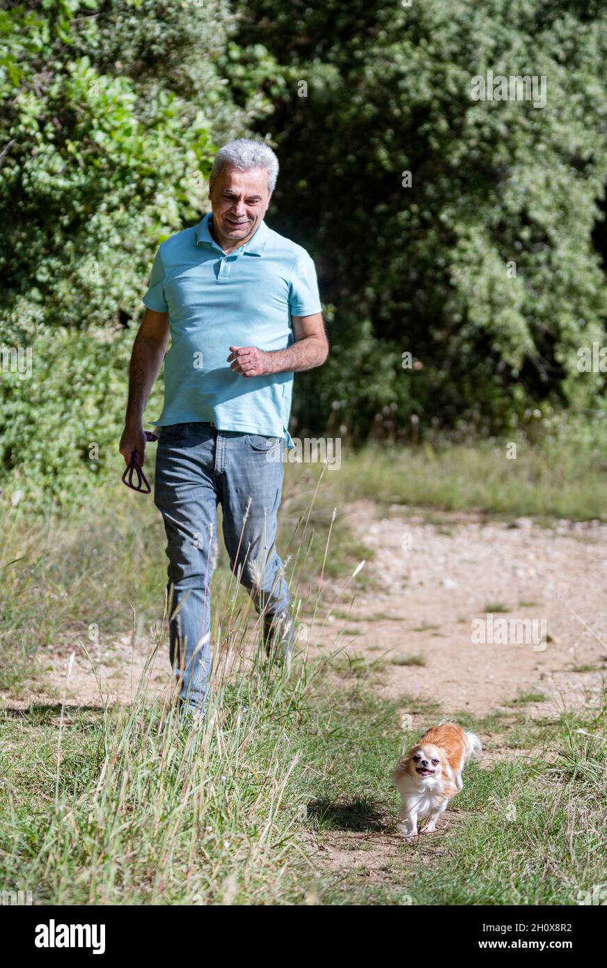 little chihuahua and owner in the nature Stock Photo - Alamy