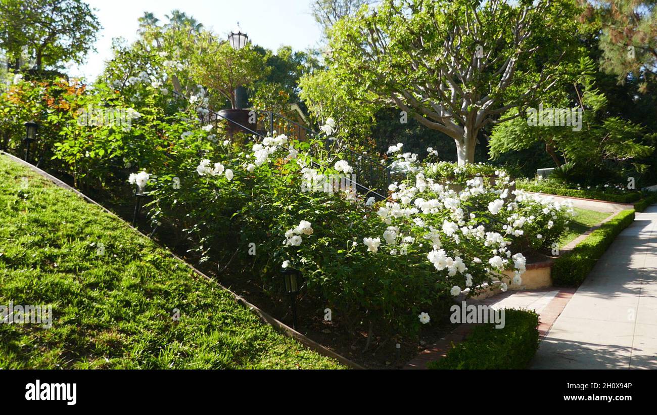 Beverly Hills, California, USA 7th September 2021 A general view of ...