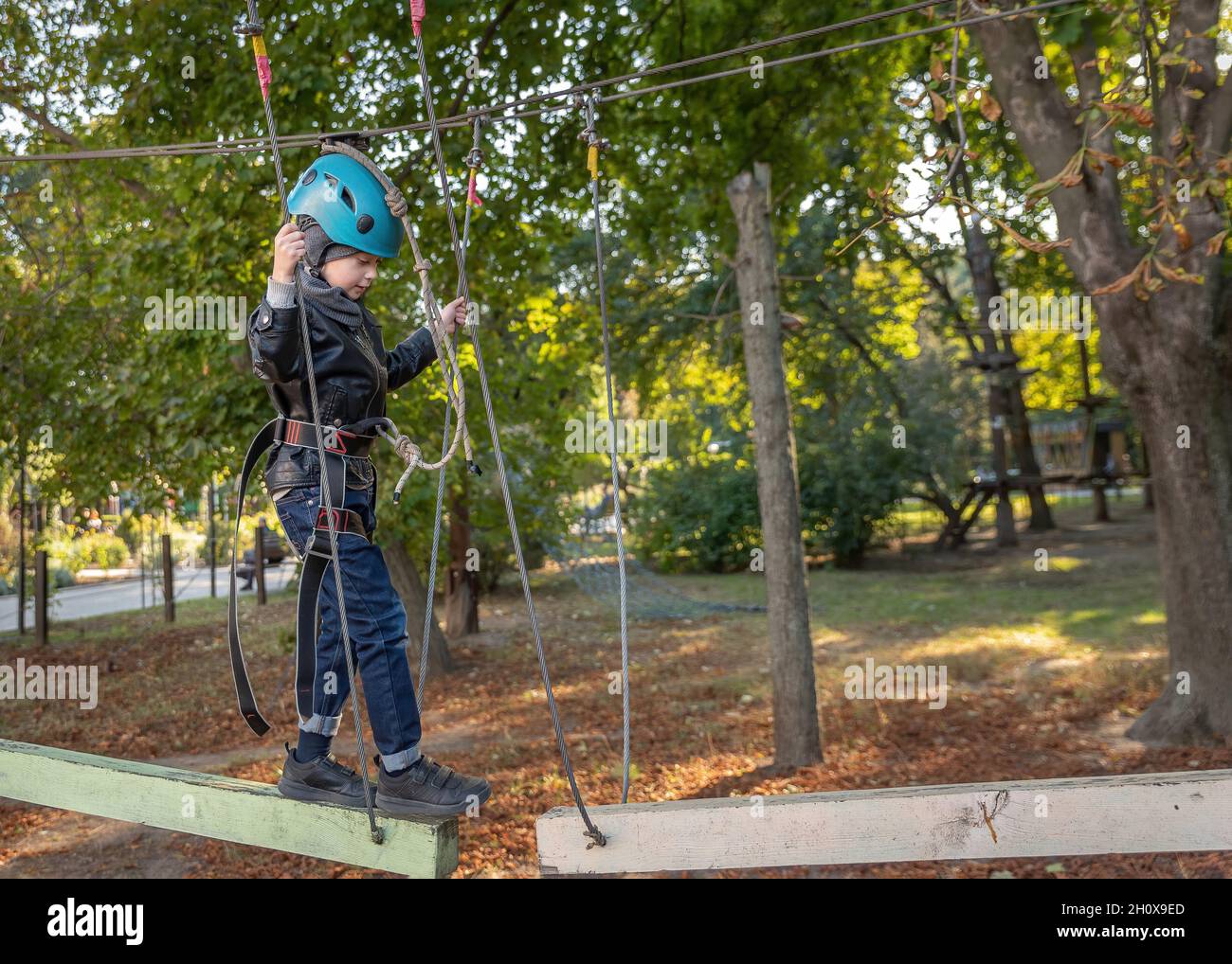 Adventure climbing high wire park. Brave young child in safety harness ...
