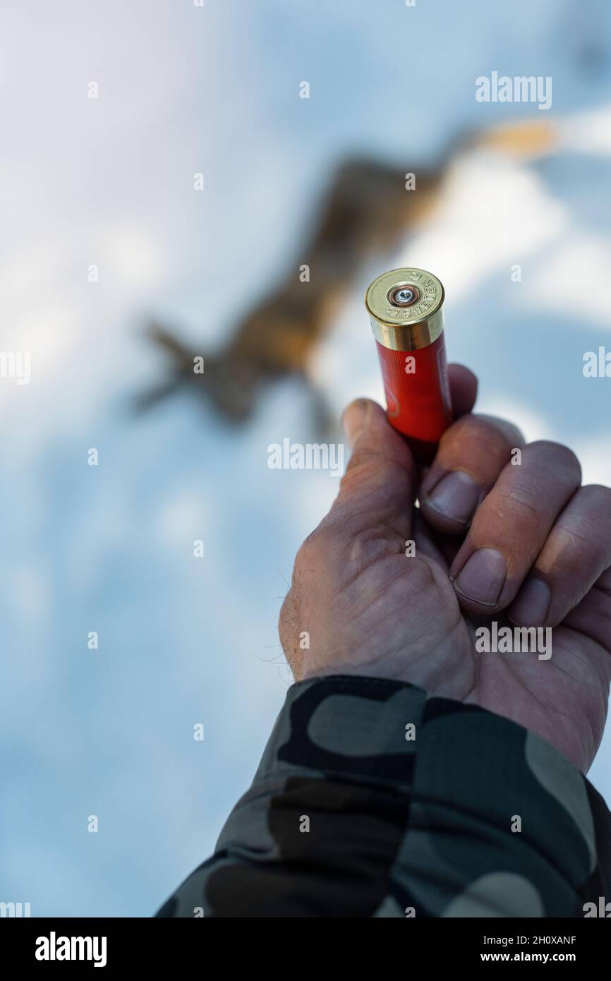 Hand holding bullet hi-res stock photography and images - Alamy