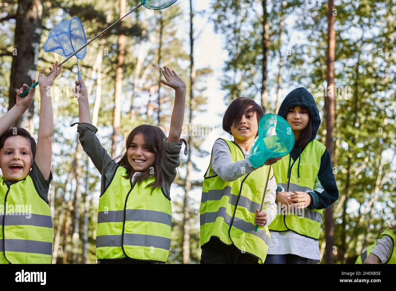 Schoolchildren in forest Stock Photo - Alamy