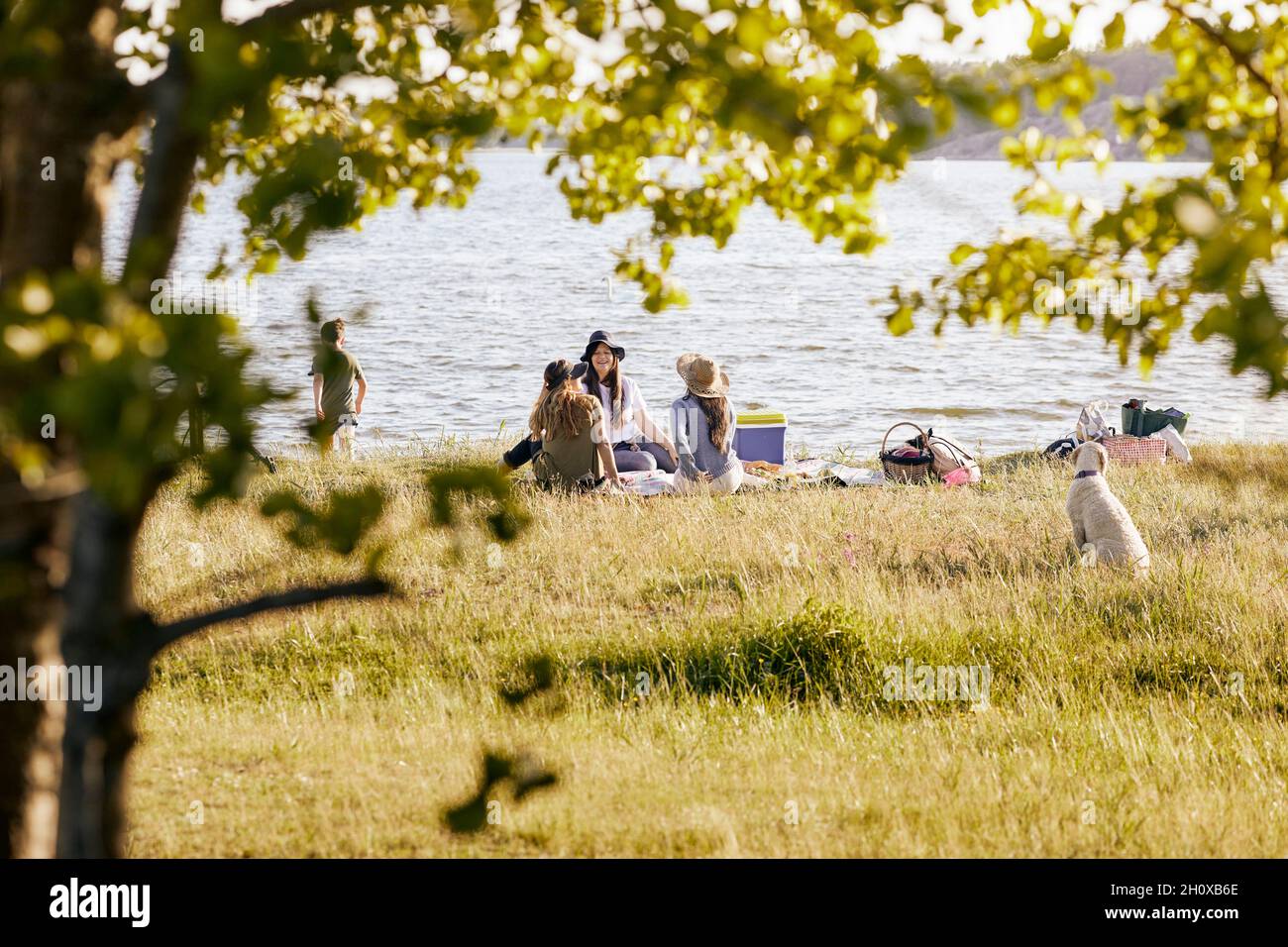 Women having picnic at lake Stock Photo - Alamy
