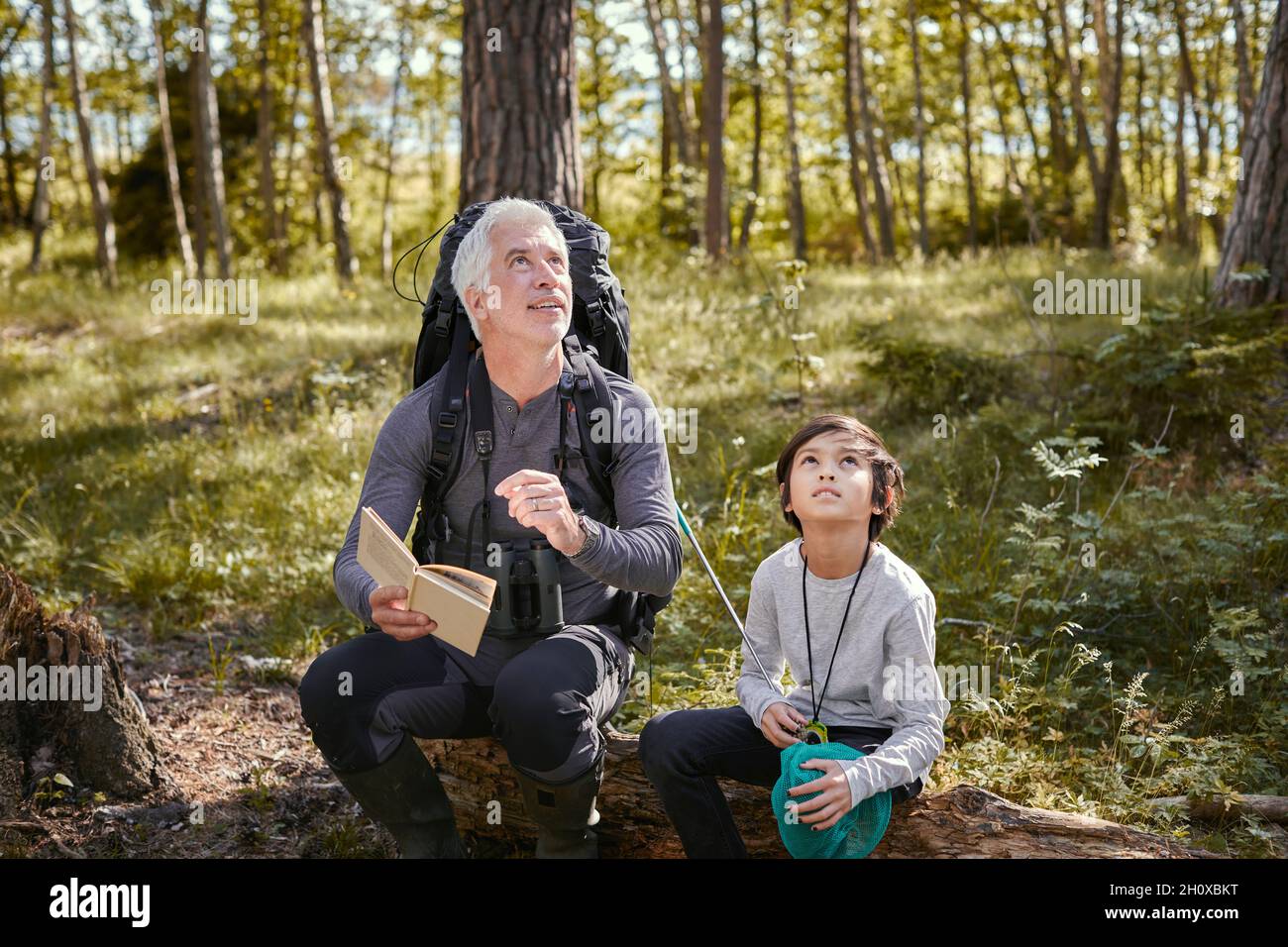 Father with son in forest Stock Photo - Alamy