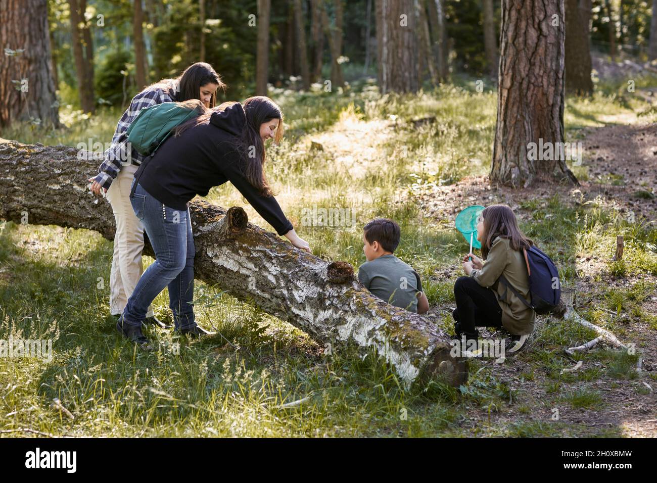 Family with children walking in forest Stock Photo - Alamy