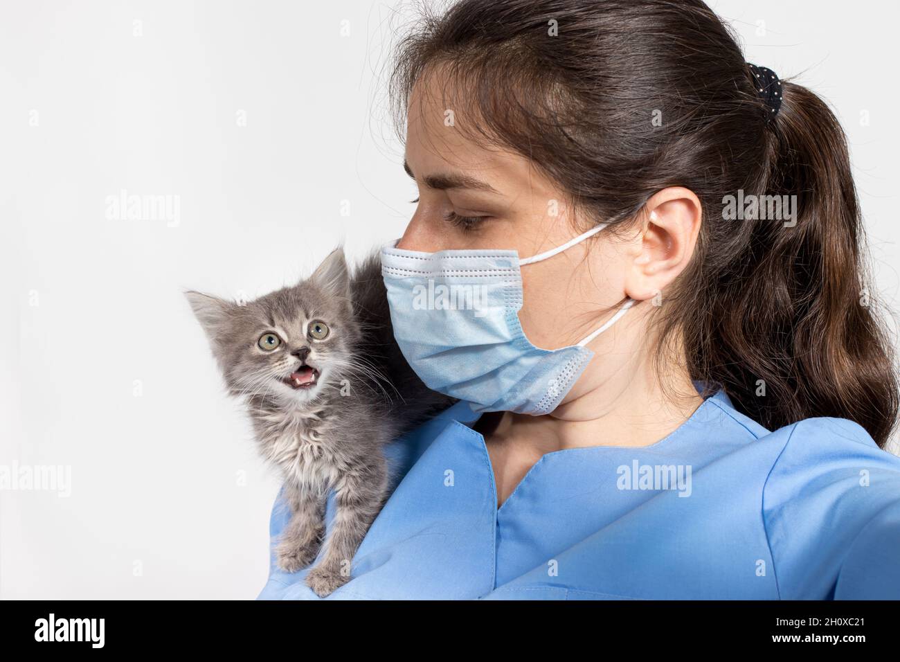 Veterinarian With Kitten
