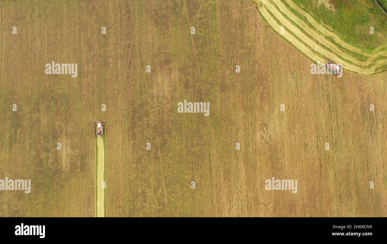 Aerial View Of Rural Landscape. Combines Harvesters Working In Field ...