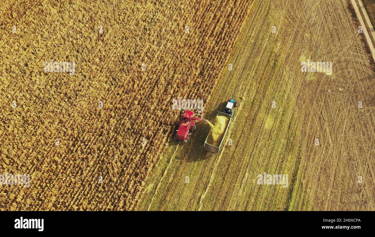 Aerial View Of Rural Landscape. Combine Harvester And Tractor Working ...