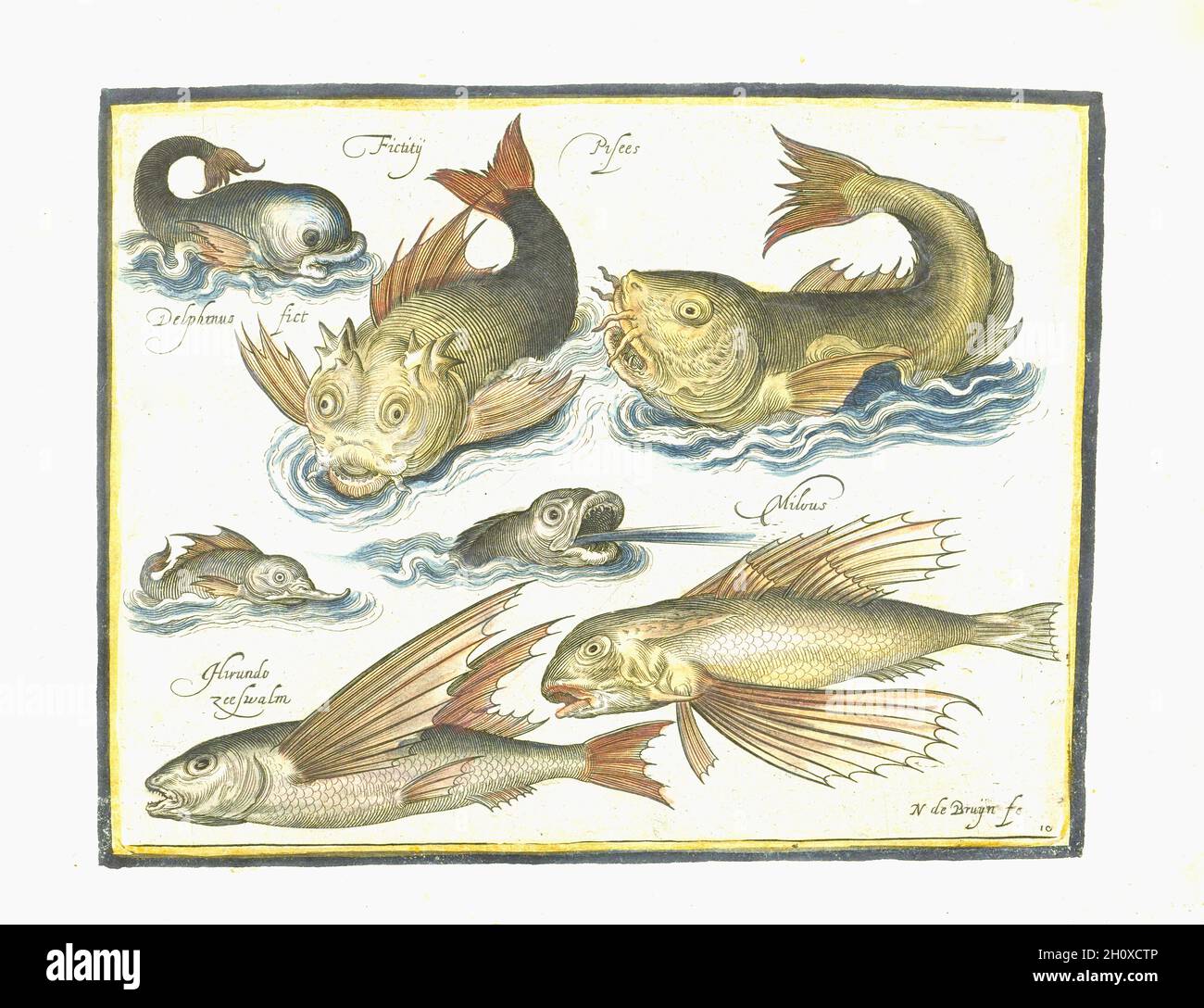 Five mythical fish hi-res stock photography and images - Alamy