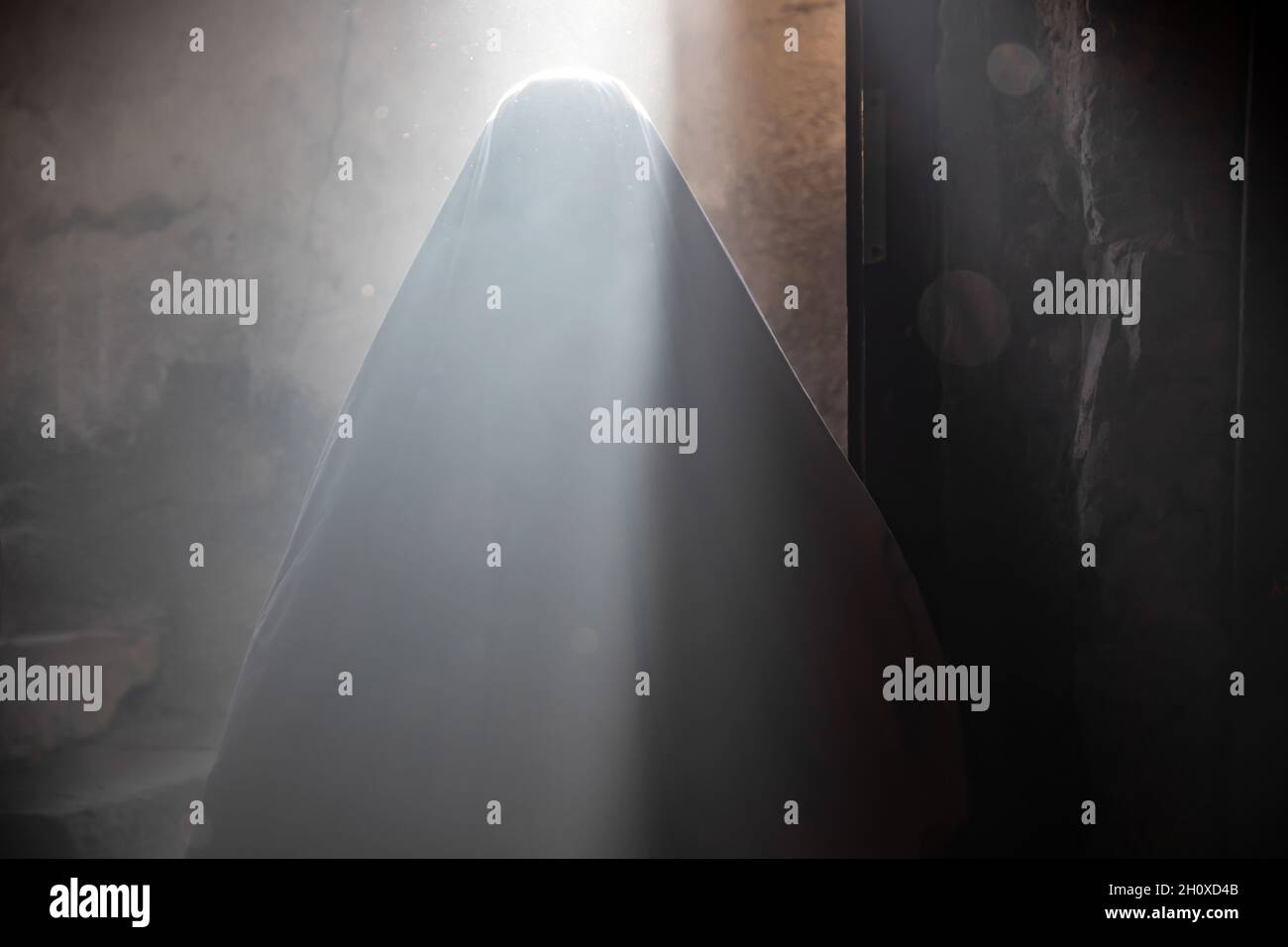 Scary ghost in dark, spooky halloween night Stock Photo - Alamy