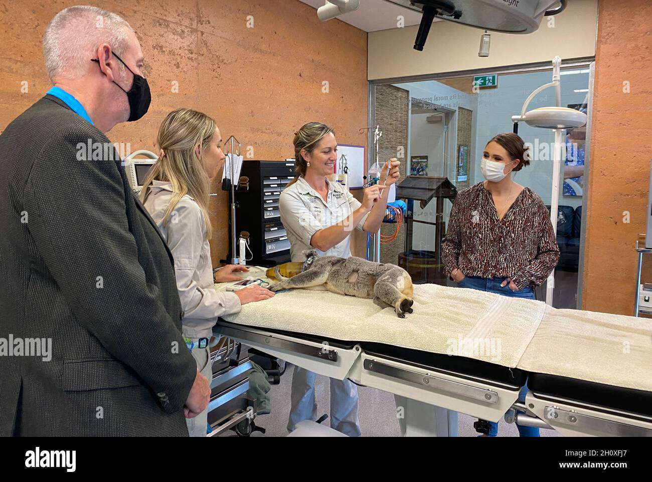 Australia zoo wildlife hospital hi-res stock photography and images - Alamy